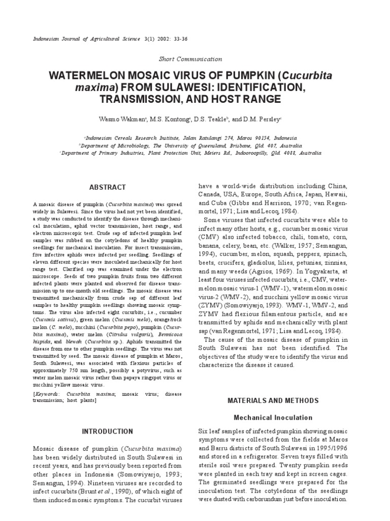 Watermelon Mosaic Virus of Pumpkin (Cucurbita Maxima) From Sulawesi ...