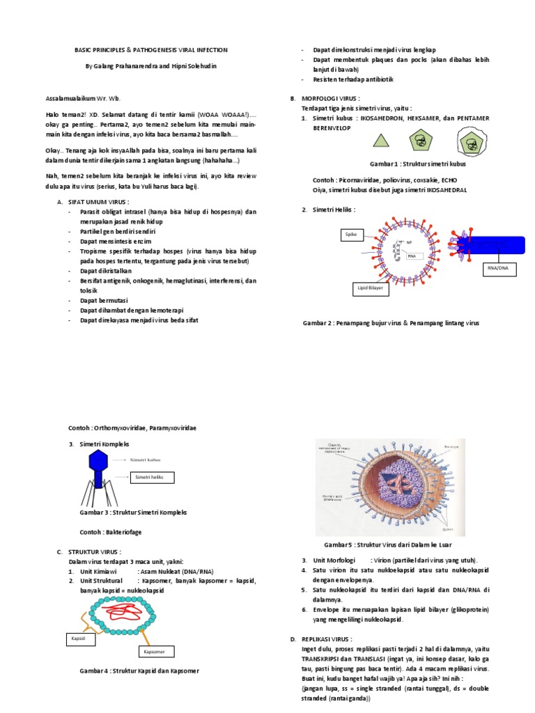 Prinsip Dasar dan Patogenesis Infeksi Virus | PDF
