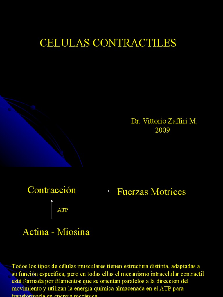 Histologia - 05 - Celulas Contractiles.20.04.09 | PDF | Músculo ...