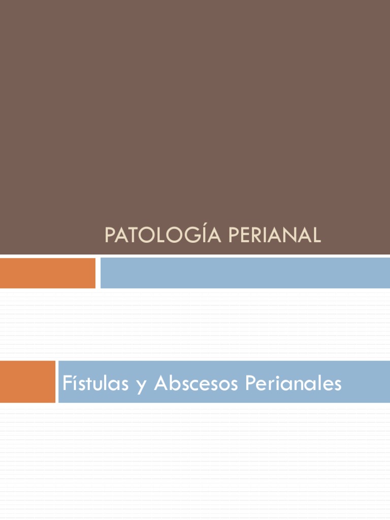 Fístulas y Abscesos Perianales: Guía Completa | PDF | Hemorroides ...