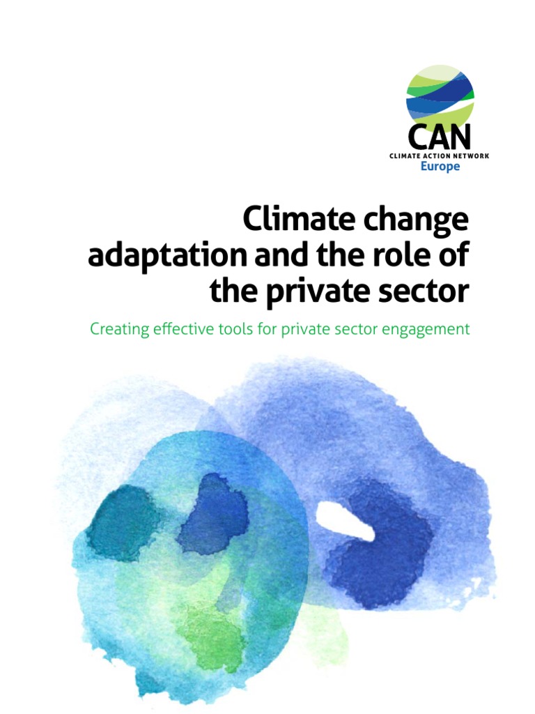 Private Sector's Role in Climate Adaptation | PDF | Bonds (Finance ...