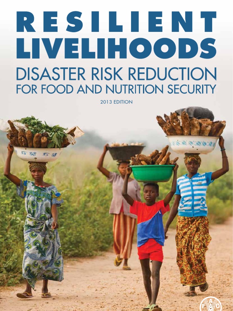 Resilient Livelihoods - Disaster Risk Reduction For Food and Nutrition ...