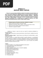 Dispozitive Periferice de Intrare Iesire | PDF