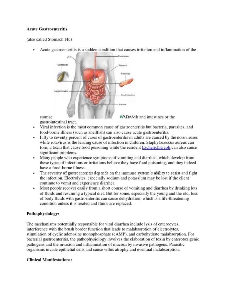 Acute Gastroenteritis | Diarrhea | Microbiology