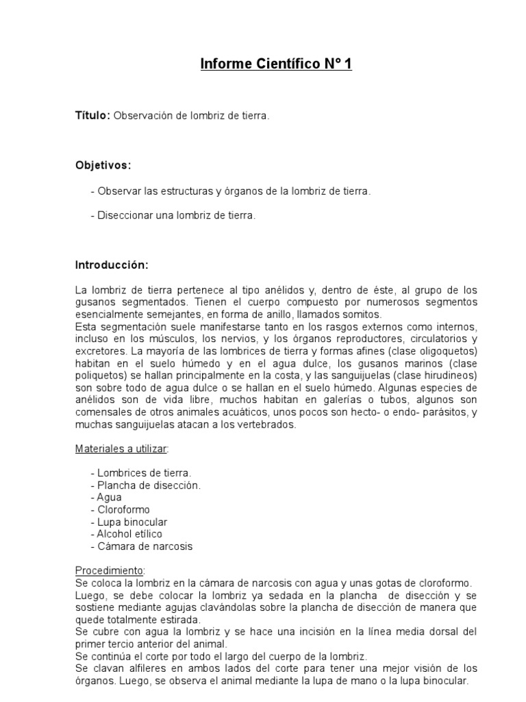 Informe Científico #1 | PDF | Anatomia animal | Anatomía