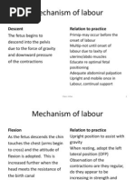Mechanism of Labour | PDF | Pelvis | Anatomical Terms Of Motion