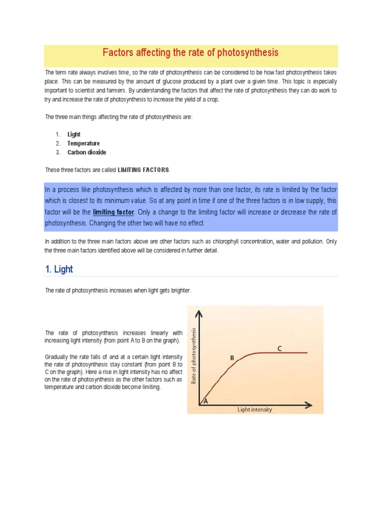 Factors Affecting The Rate of Photosynthesis | PDF | Photosynthesis ...