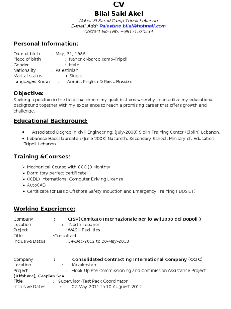 CV - Bilal Akel | PDF | Metal Fabrication | Specification (Technical Standard)