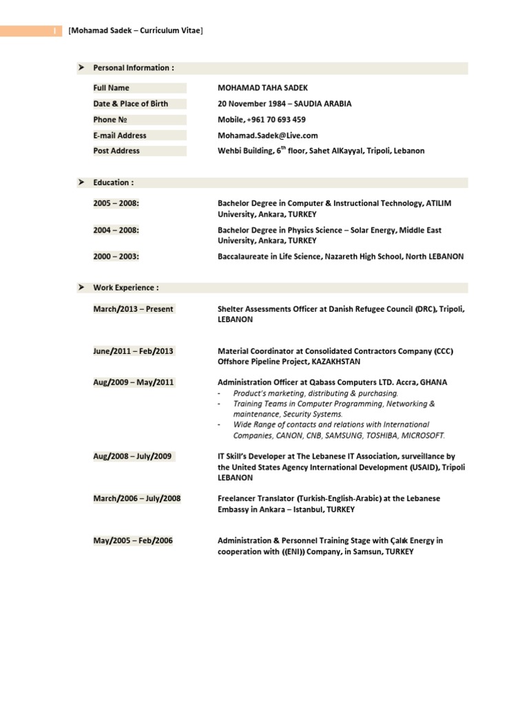 CV - Mohamad Sadek | PDF | Lebanon | Microsoft