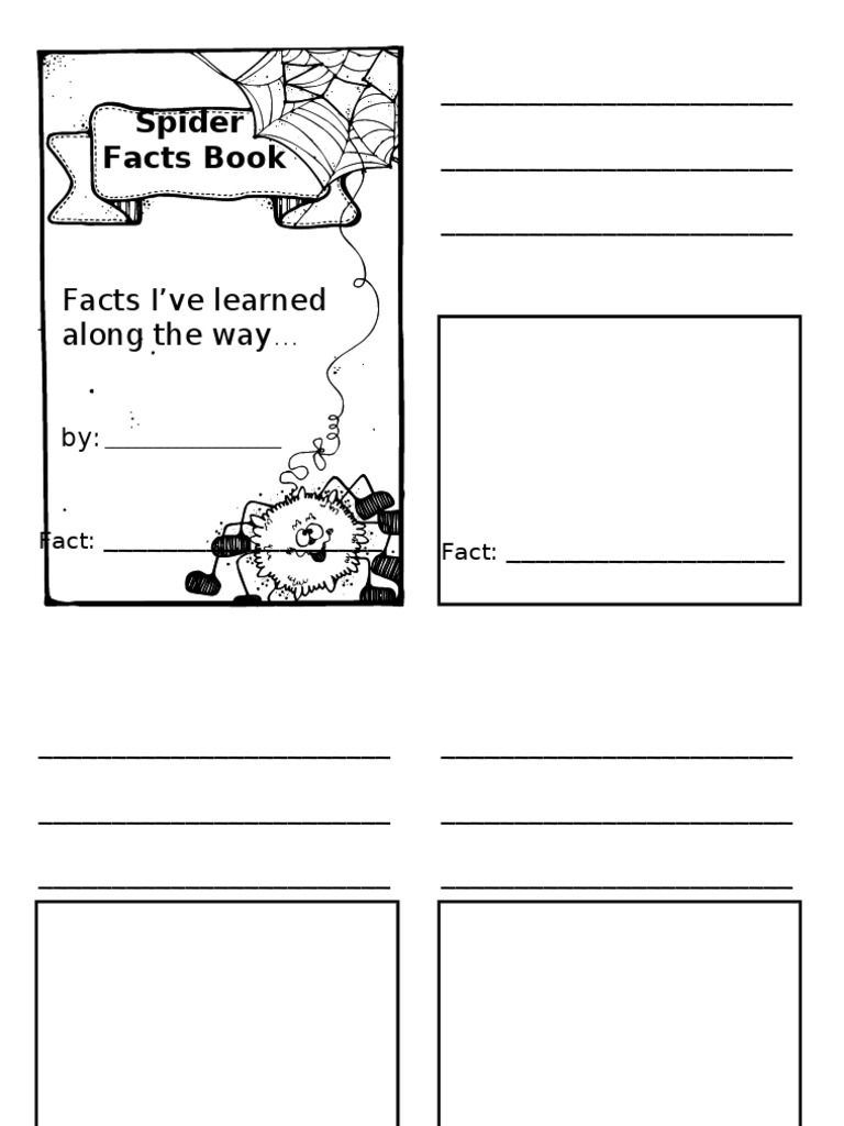 Spider Facts for Curious Minds | PDF | Games & Activities | Home & Garden