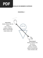 Prueba de Adams | PDF | La columna vertebral | Escoliosis