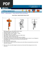 Chain Block Operation and Maintenance Guide | PDF | Bearing (Mechanical ...