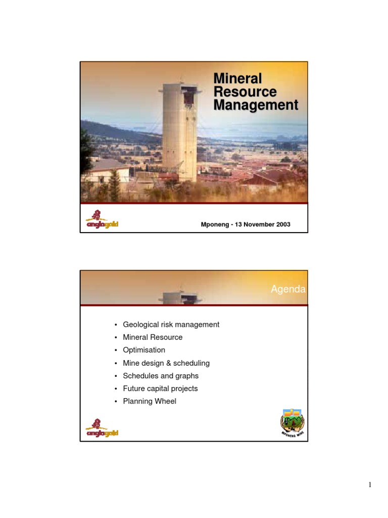 Mineral Resource Management | PDF | Risk | Mining