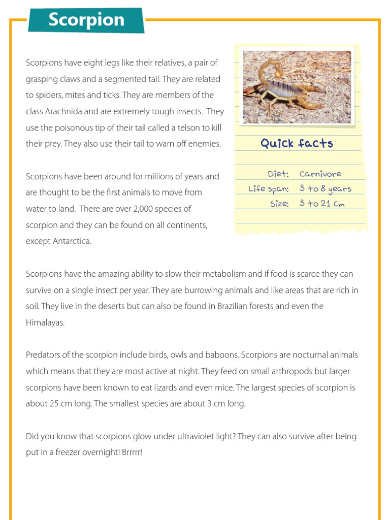 Scorpions - Reading Comprehension For Primary/elementary Children | PDF ...