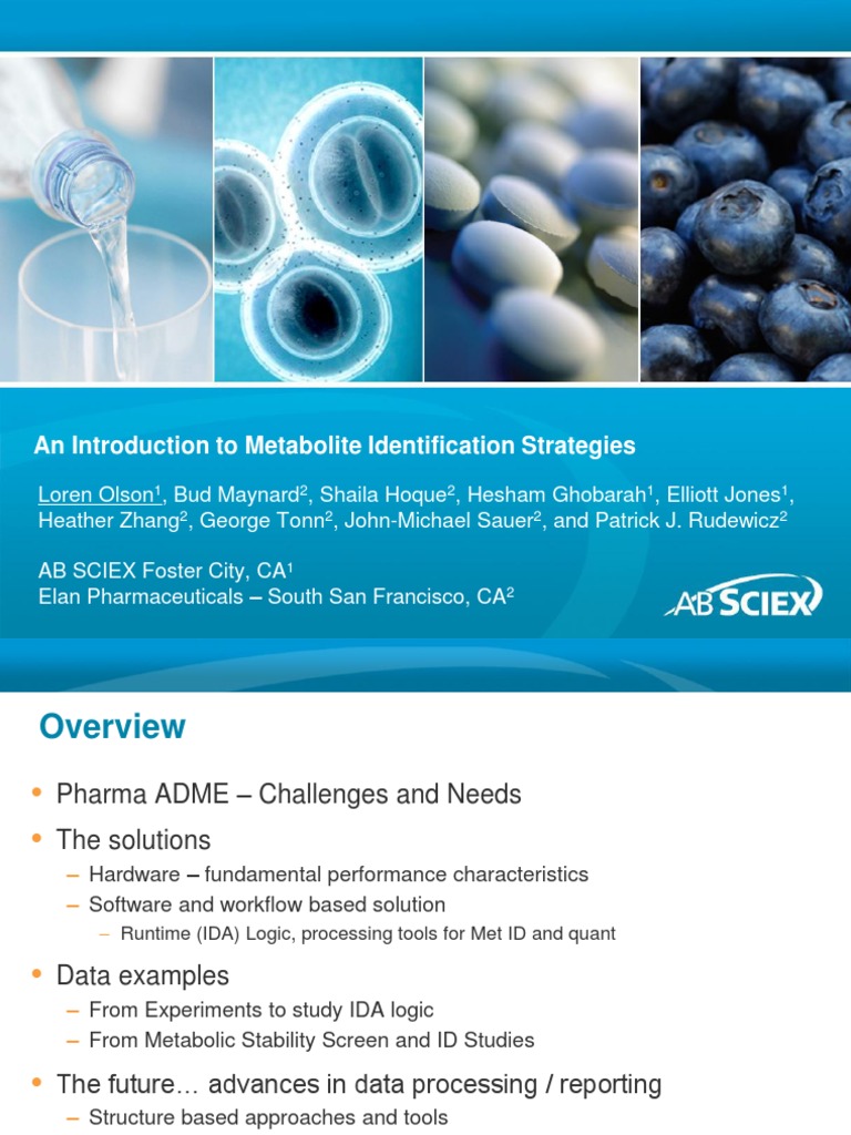 An Introduction To Metabolite Identification Strategies | PDF ...