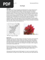 North American Tree Identification Guide | PDF | Flora | Trees