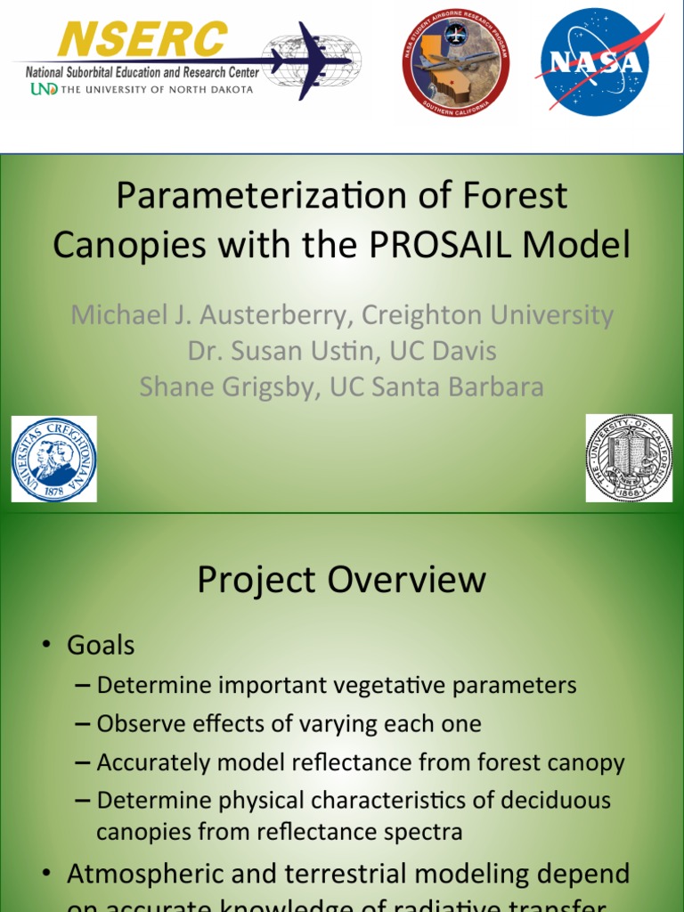 Parameterization of Forest Canopies With The PROSAIL Model | PDF ...