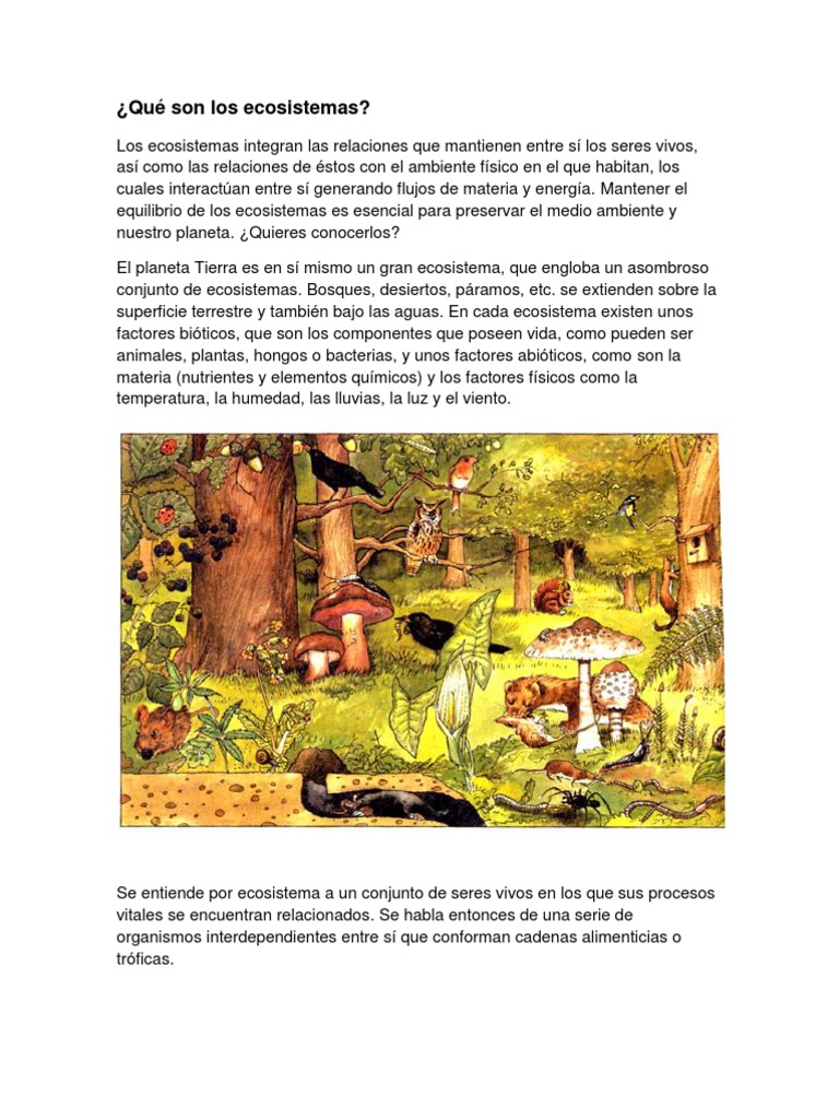Qué Son Los Ecosistemas | PDF