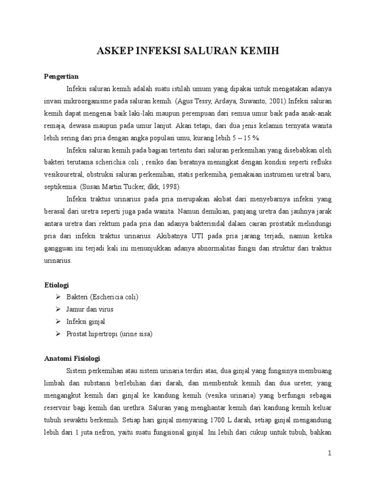 Asuhan Keperawatan ISK dan Patofisiologi | PDF