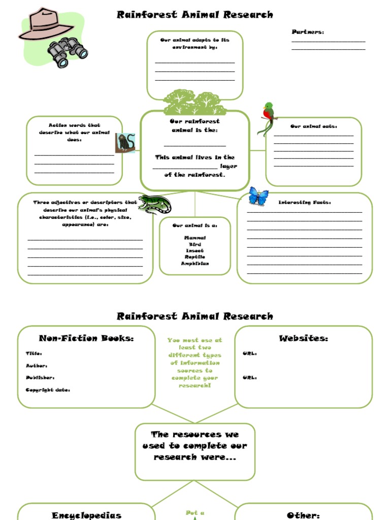 Rainforest Research Facts | PDF