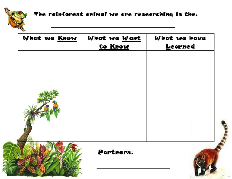 Rainforest KWL | PDF | Self-Improvement