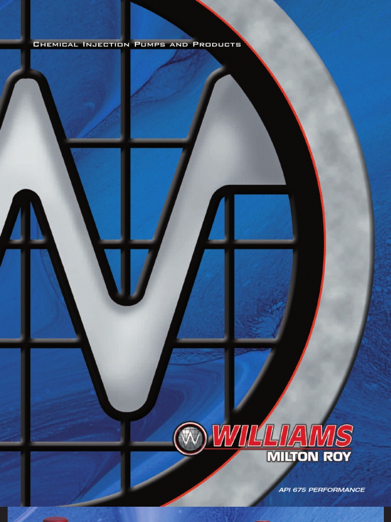 Chemical Injection Pumps and Products: Api 675 Performance | PDF | Pump ...