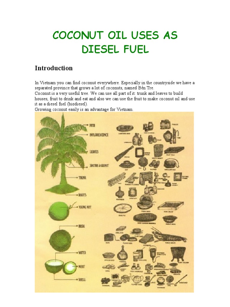Coconut Oil as Biodiesel Fuel | PDF | Biodiesel | Diesel Engine