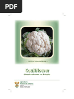 LSU-Ag Planting Guide | PDF | Vegetables | Fertilizer