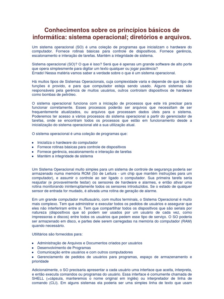 Conhecimentos sobre os princípios básicos de informática | PDF ...