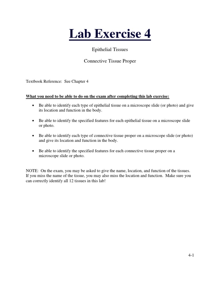 Lab Exercise 4: Epithelial Tissues Connective Tissue Proper | Download ...