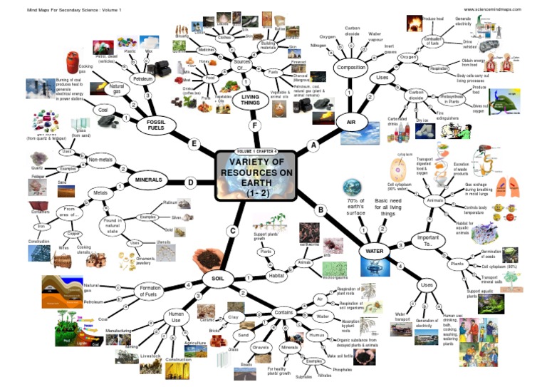 Variety Resources Mind Map | PDF | Carbon | Soil