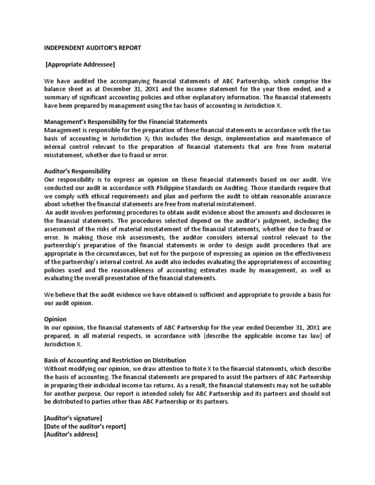 Independent Auditor Report | Financial Audit | Auditor's Report