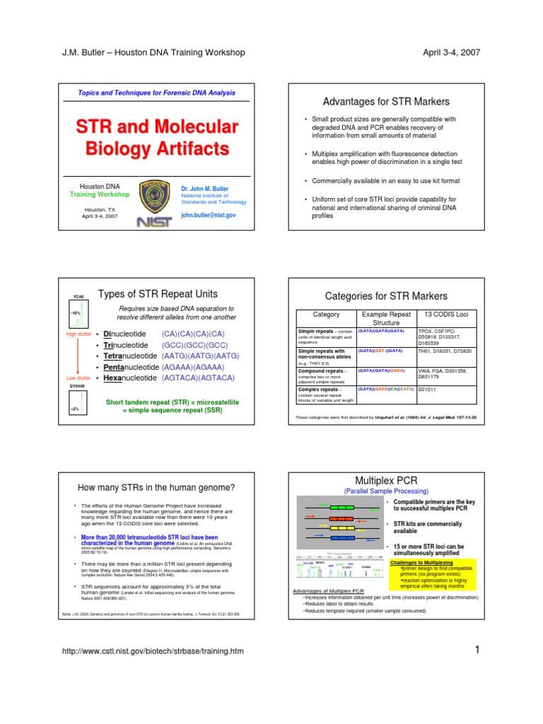 2 STR Artifacts | PDF | Microsatellite | Polymerase Chain Reaction