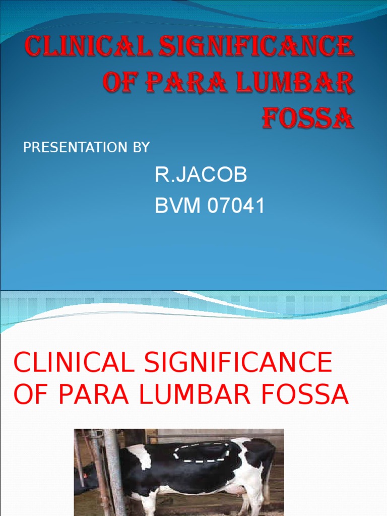 Clinical Significance of Paralumbar Fossa | PDF | Abdomen