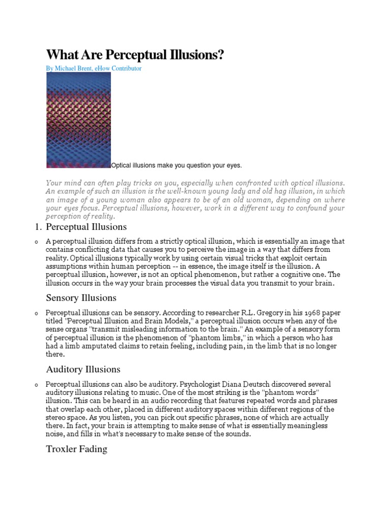 Understanding Perceptual Illusions | PDF | Illusion | Perception
