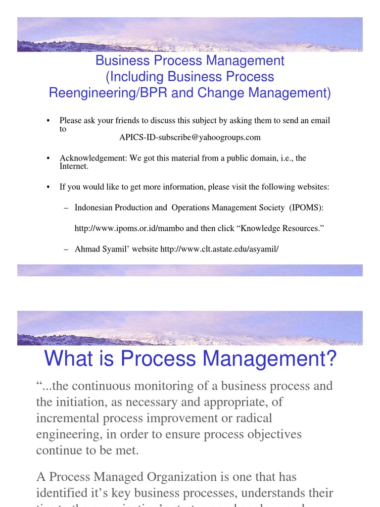 Business Process Management Overview | PDF