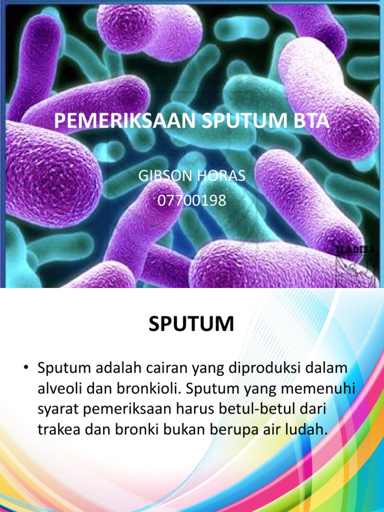 Pemeriksaan Sputum Bta