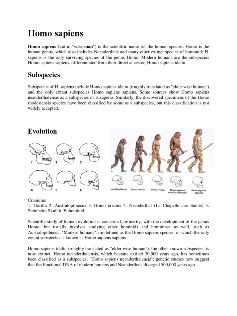 Homo Sapiens | PDF | Homo | Hominidae