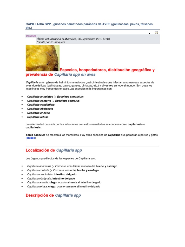 Capillaria SPP | PDF | Salud y bienestar | Medicina