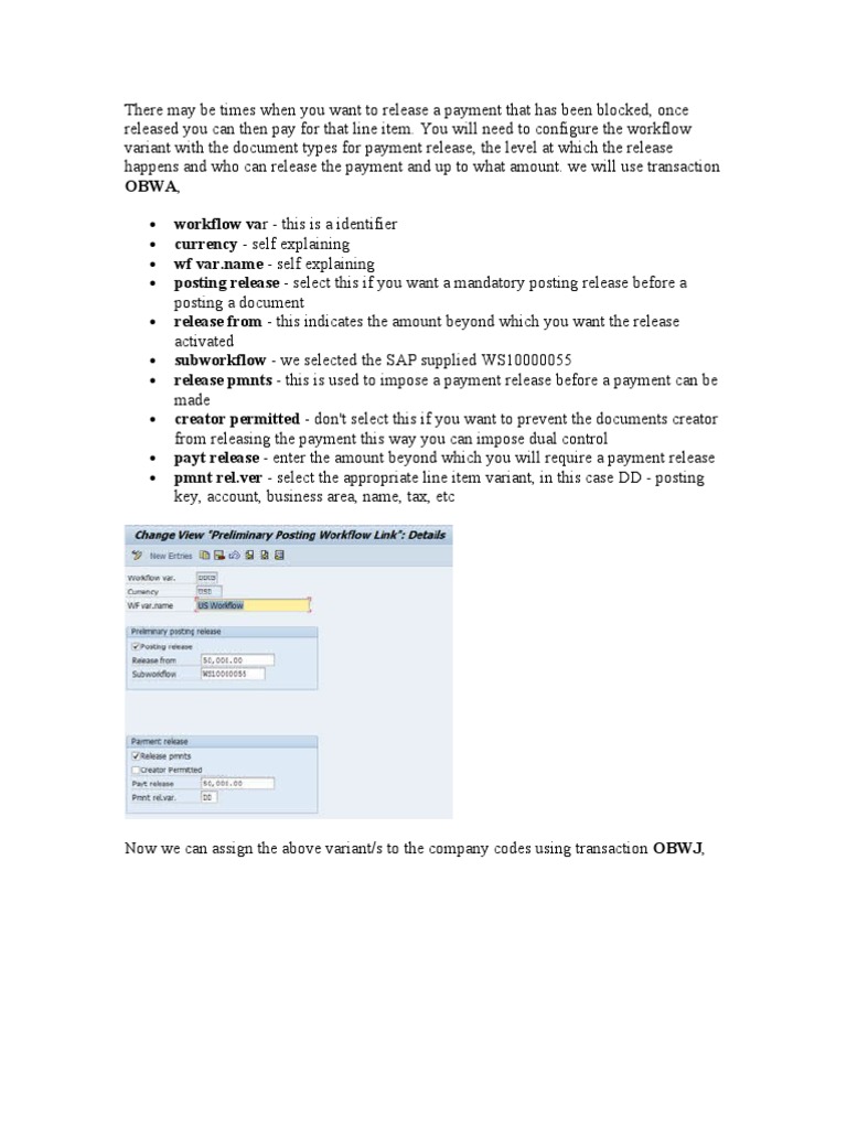 Configuring Payment Release Workflows in SAP | PDF | Payments ...