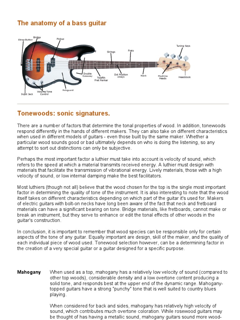 The Anatomy of A Bass Guitar | PDF | Bass Guitar | Guitars