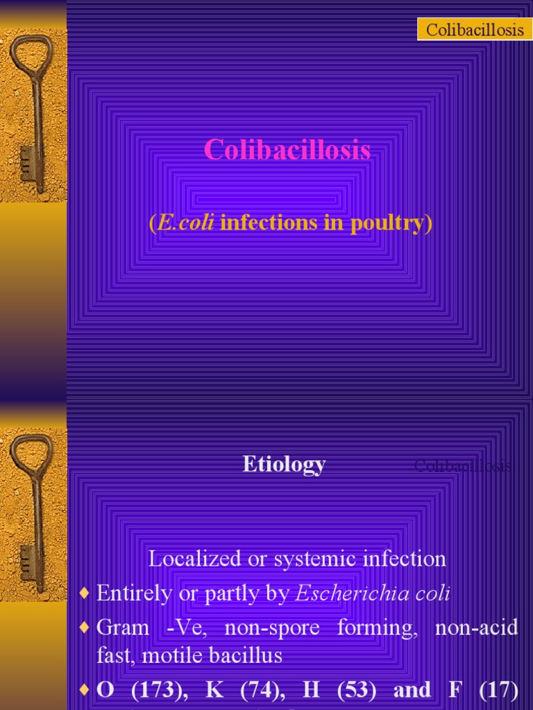 Colibacillosis: (E.coli Infections in Poultry) | PDF | Escherichia Coli ...
