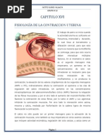 Función y Regulación del Calcio en Células | PDF | Neurona | Biología ...