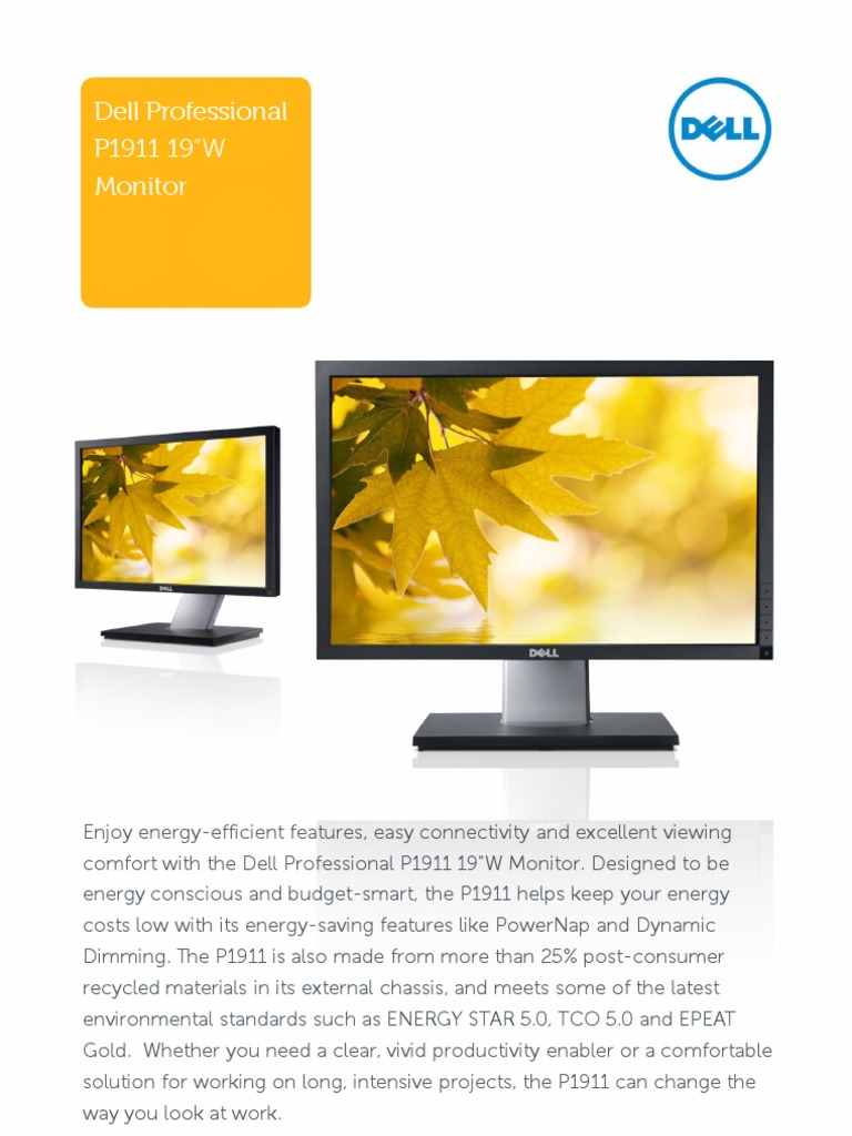 Monitor Dell P1911 | PDF | Computer Monitor | Electronics