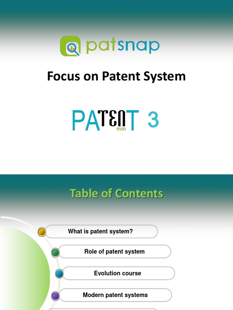 Focus On Patent System Pdf Patent Priority Right