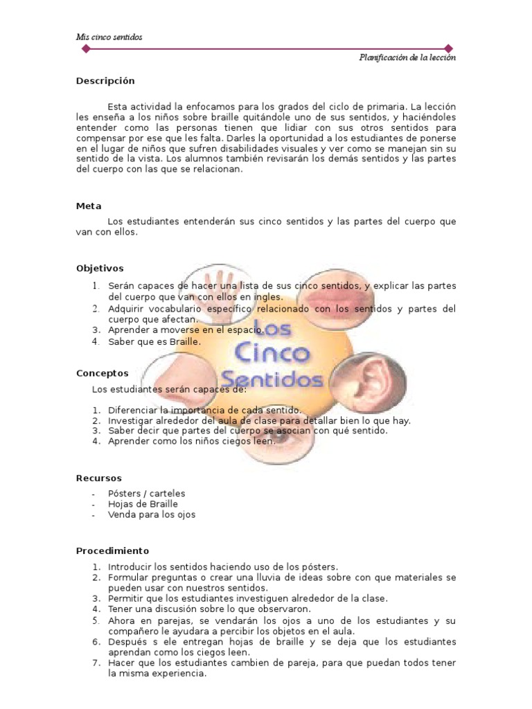 Los 5 Sentidos | Descargar gratis PDF | Aprendizaje | Maestros