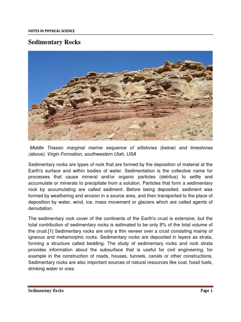 Sedimentary Rocks Notes | Sedimentary Rock | Clastic Rock