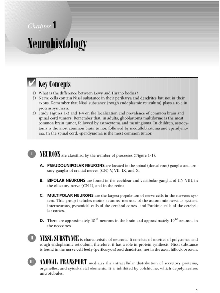 Neurophysiology | PDF