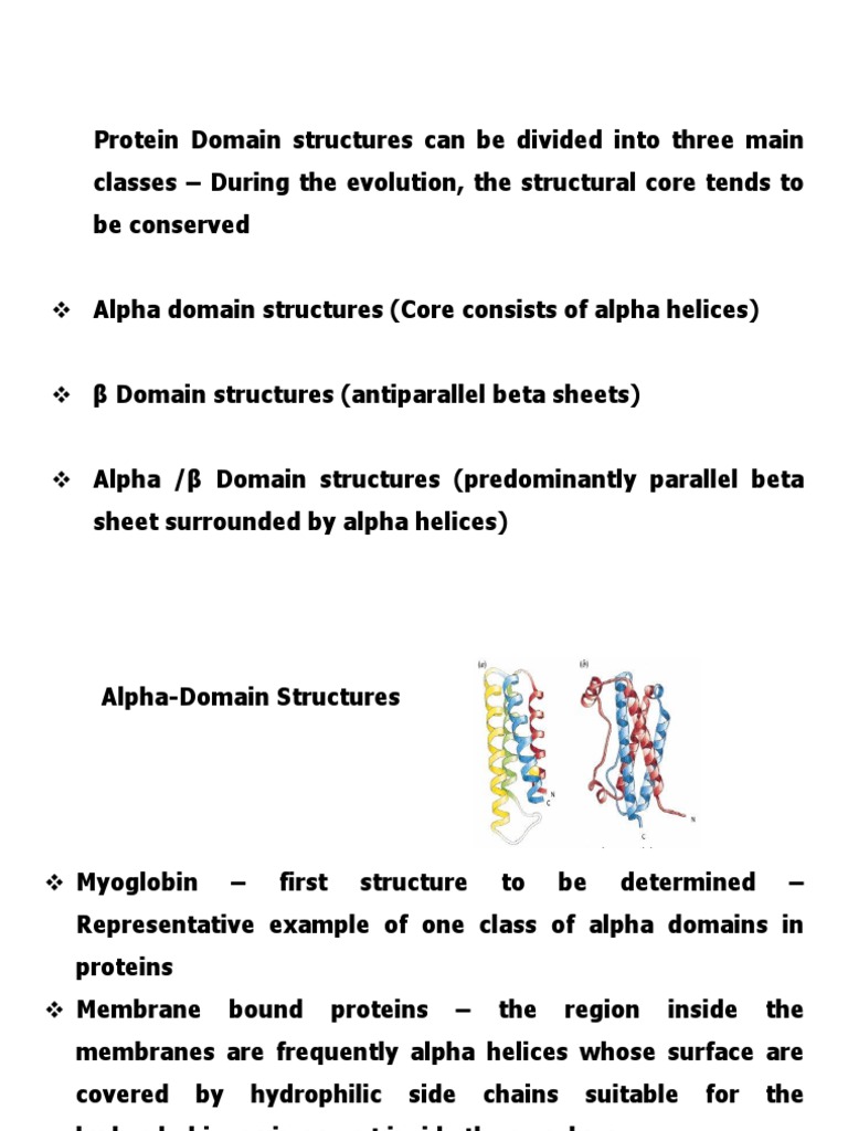 Alpha Domain Structure | PDF | Alpha Helix | Protein Domain