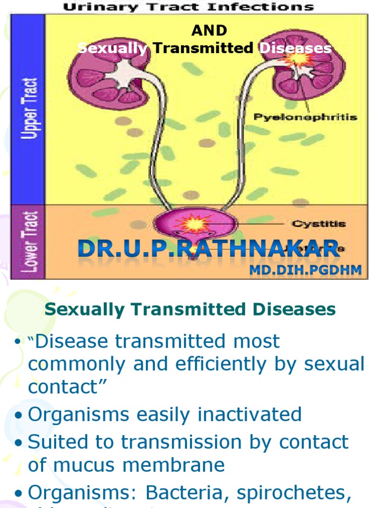 Pharmacotherapy of UTI and STD | PDF | Urinary Tract Infection ...